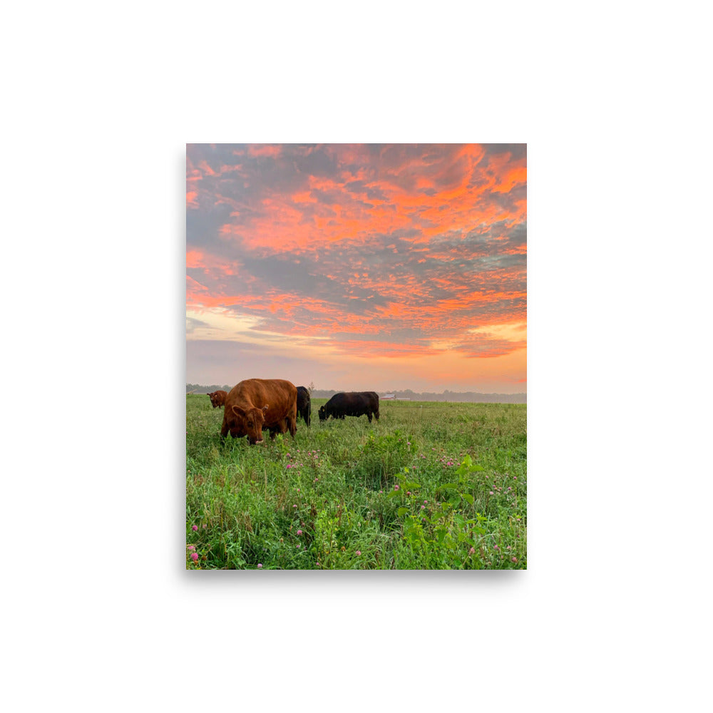 #59 Print – Sickler’s Circle View Farm